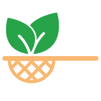 Island Wellness Tea - 100% Natural tea remedies - Crafted with care